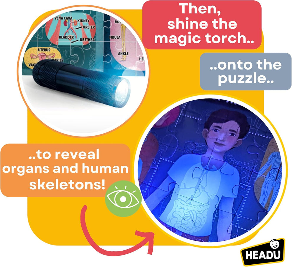 Human Body Under X-Ray – Learning Express Toys & Gifts - Newton MA